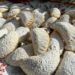 Tortelli Cookies - Frannie Loves Food